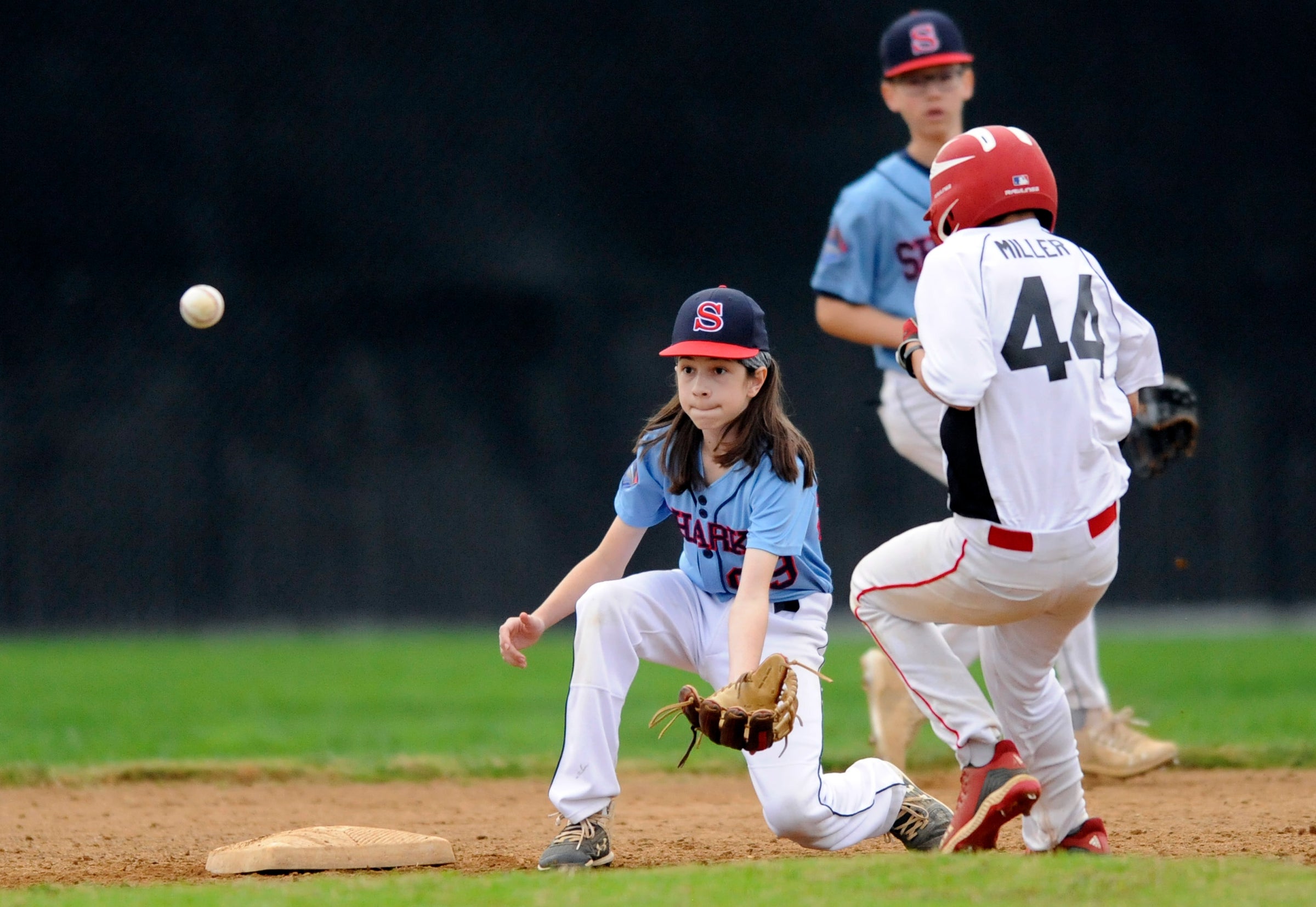 Home | Springfield Sharks Travel Baseball