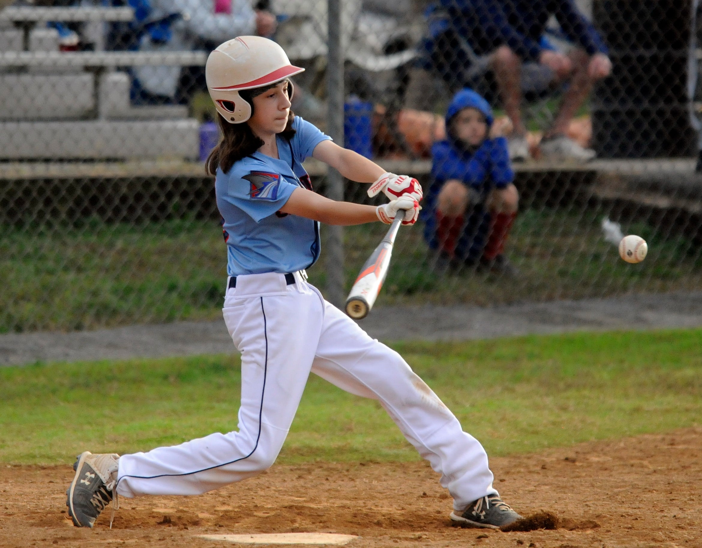 Home | Springfield Sharks Travel Baseball