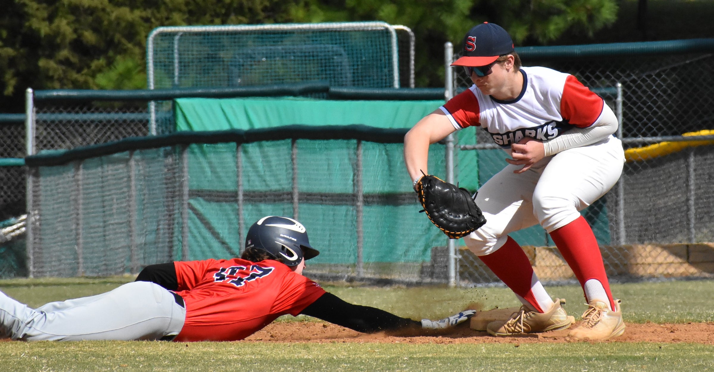Home | Springfield Sharks Travel Baseball